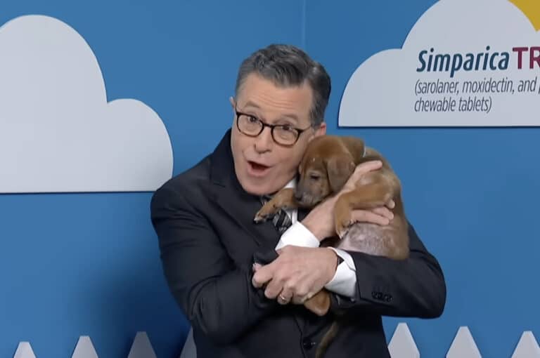 Colbert Sets 20th 'Rescue Dog Rescue' With Cast of 'The Boys'