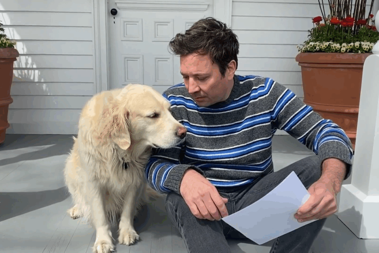 Jimmy Fallon's Dog (and 'Tonight Show' Star) Gary Frick Jr. Has Died ...