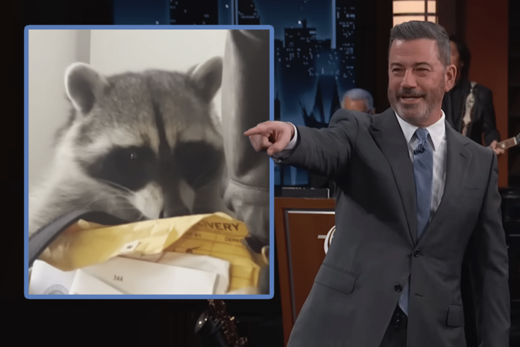 Jimmy Kimmel’s Newest Workplace Problem Is a Wild Raccoon - LateNighter